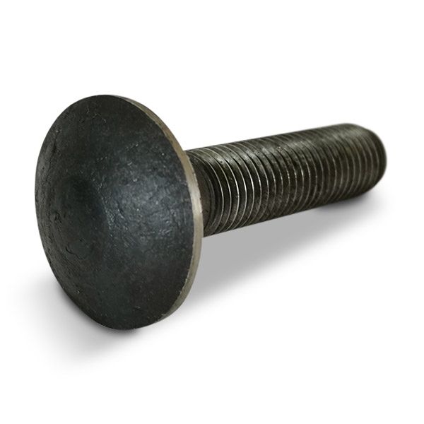 M20x100 Coach Bolts Only Self-Colour DIN 603