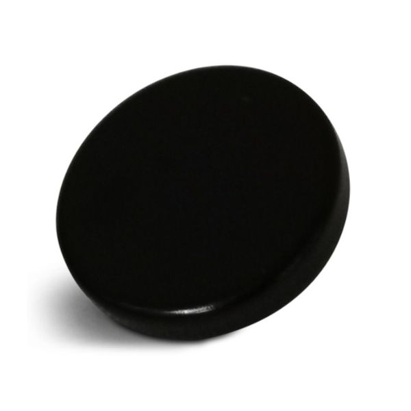 Buy Flat Mirror Screw Caps | 15mm Black Semi-Gloss Mirror Caps