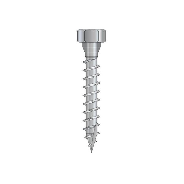 Buy Simpson SSH Connector Screws M10 x 40mm| Simpson 75149