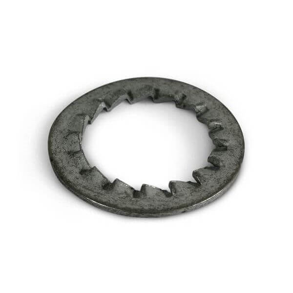 M6 INT SERRATED LOCK WASHER BZP