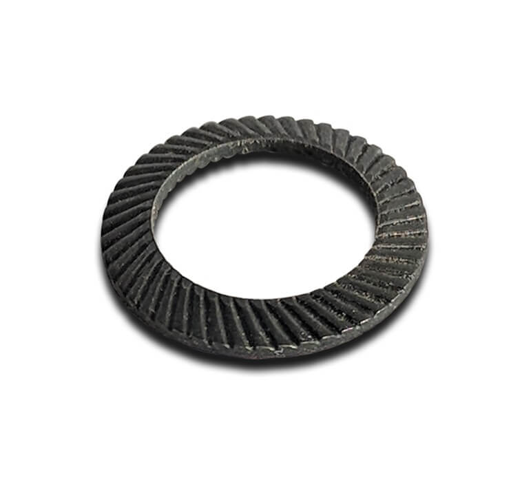 M6 SCHNORR WASHER S/COL